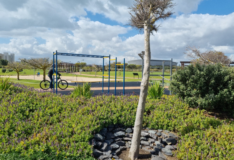 Sea Point | Neighbourhood Guide to Cape Town’s central coastal hub ...