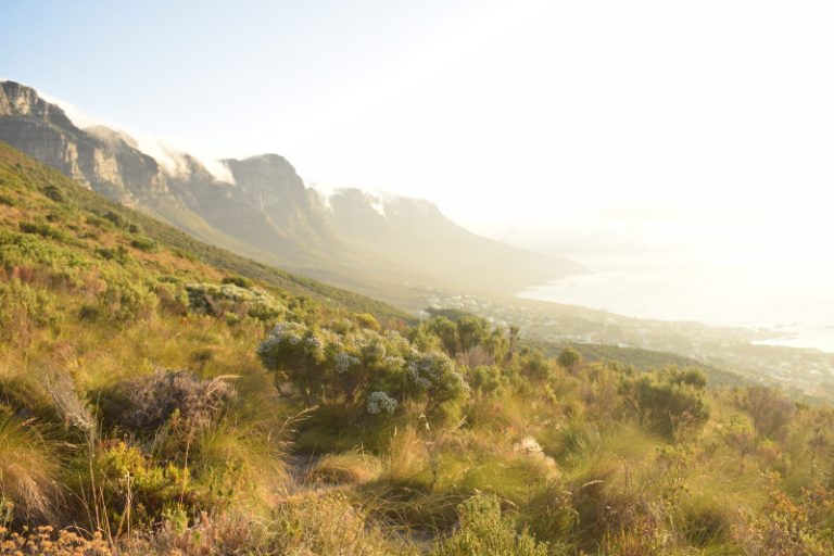 Date Ideas Cape Town Wander Cape Town date-ideas-cape-town-wander-cape-town
