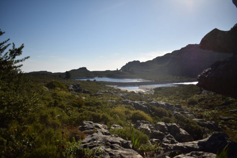Table Mountain Guide | Biosphere, Activities, and More | Wander Cape Town