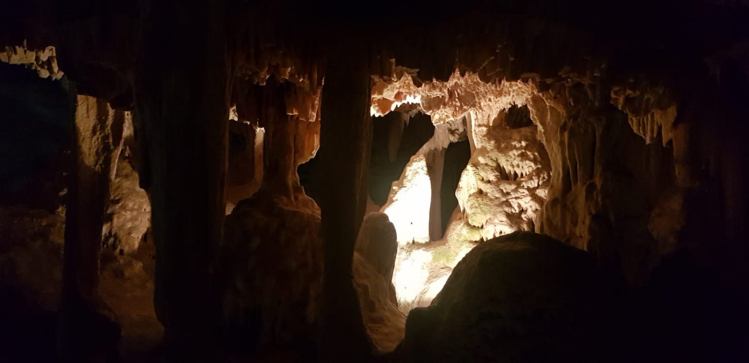 Oudtshoorn | A local’s guide to the ostrich capital of the world