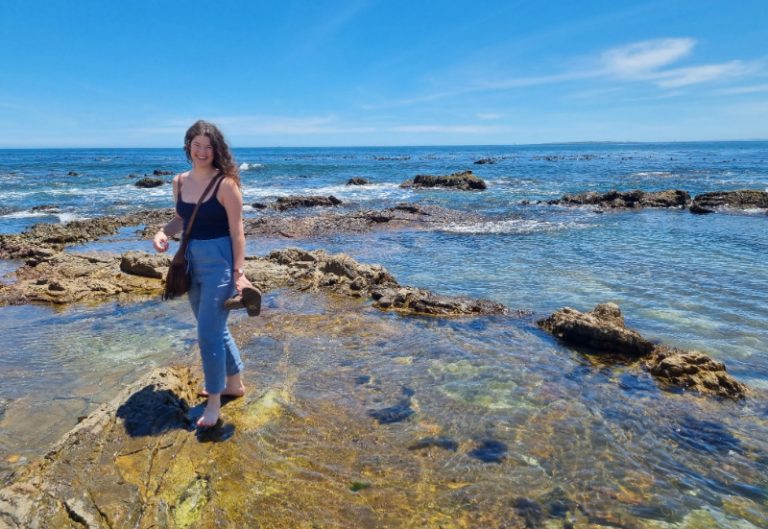 Best Time to Visit Cape Town | A Seasonal Guide | Wander Cape Town