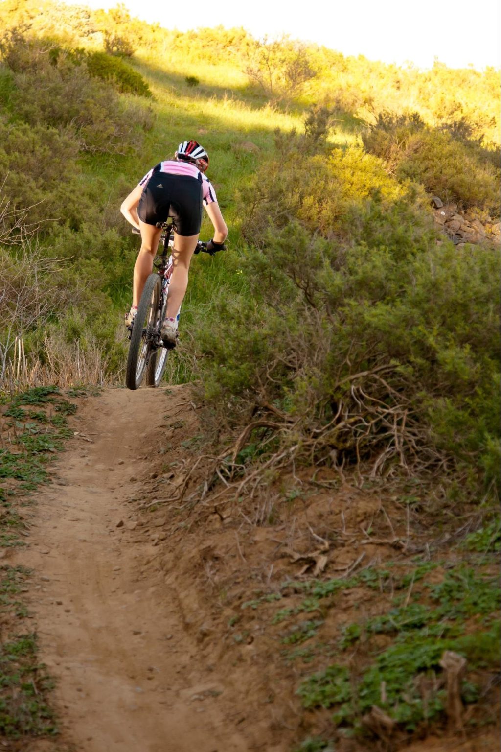 Explore Cape Town's Best Mountain Bike Trails | A Cyclist's Guide ...