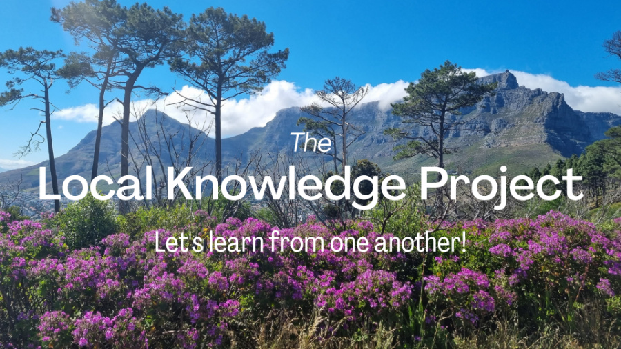 Cape Town Local Knowledge Project | Local Insights and Expertise ...