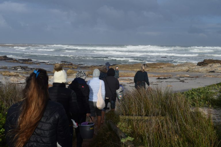 From tide to table: the coastal kelp foraging experience - Wander Cape Town