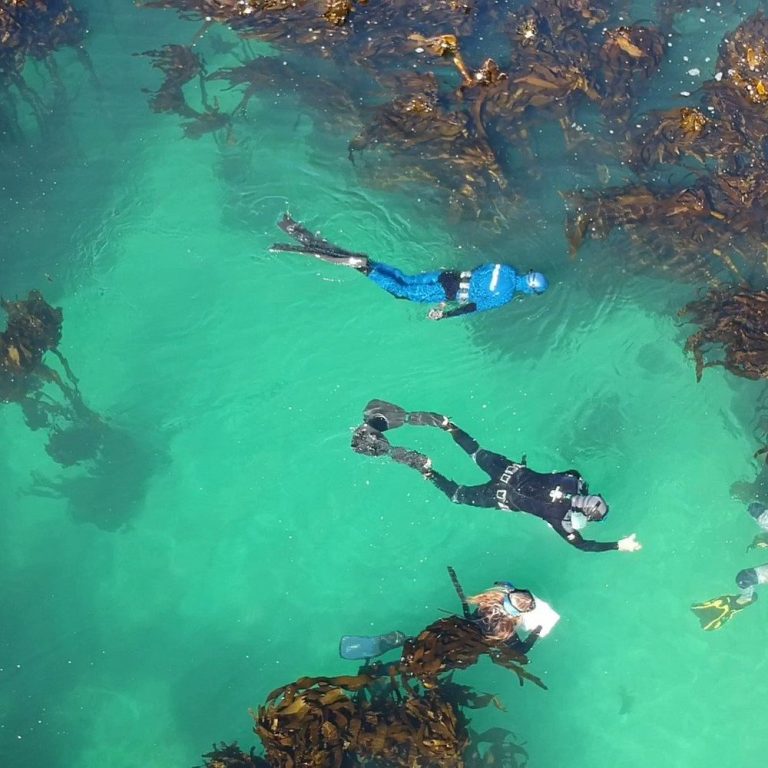 14 Things visitors should know about Cape Town - Wander Cape Town