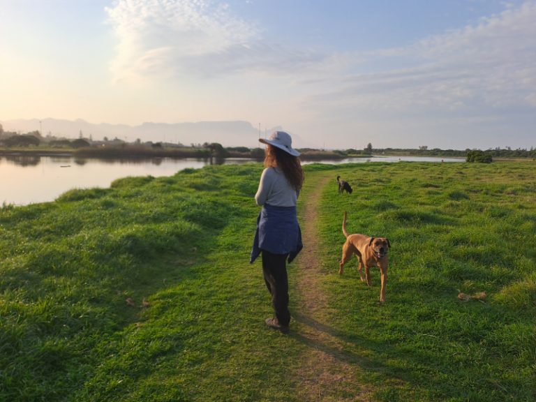 Experiencing the best of Muizenberg | Neighbourhood guide - Wander Cape ...